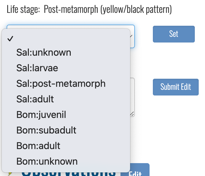 Bulk Import Does Not Validate All Imported Fields · Issue 317 · Wildmeorgwildbook · Github 