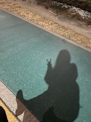 GitHub - sdtStorage/eunchae