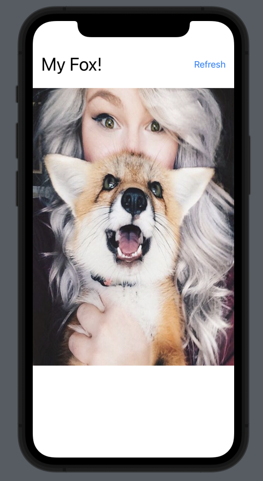 GitHub - ismailertuglu14/Swift-Learning