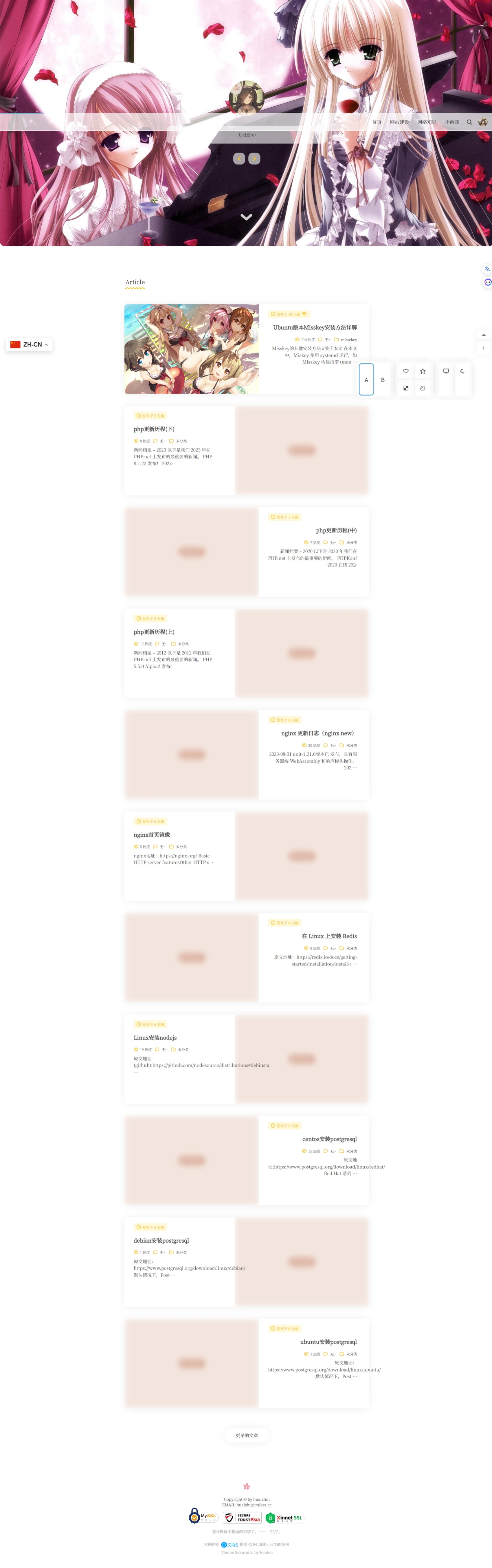 pc文本框文字溢出 · Issue #789 · mirai-mamori/Sakurairo · GitHub