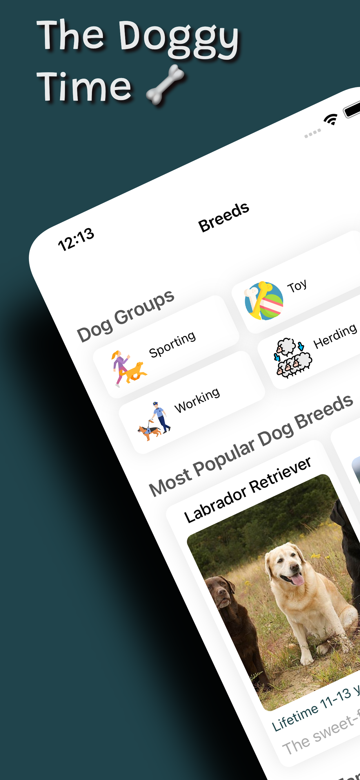 GitHub - Batuhanirmali/The-Doggy-Time: The Doggy Time App