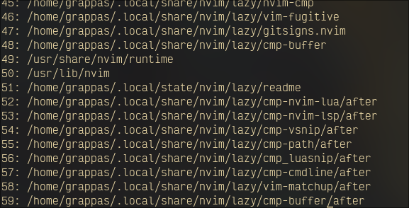 bug: Unable to trace system wide config files after · Issue #636 · folke/lazy.nvim · GitHub