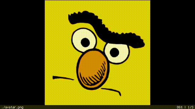 Better marks display · Issue #294 · xyb3rt/sxiv · GitHub