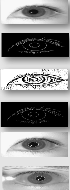 GitHub - Haniabadr/Pupil-detection