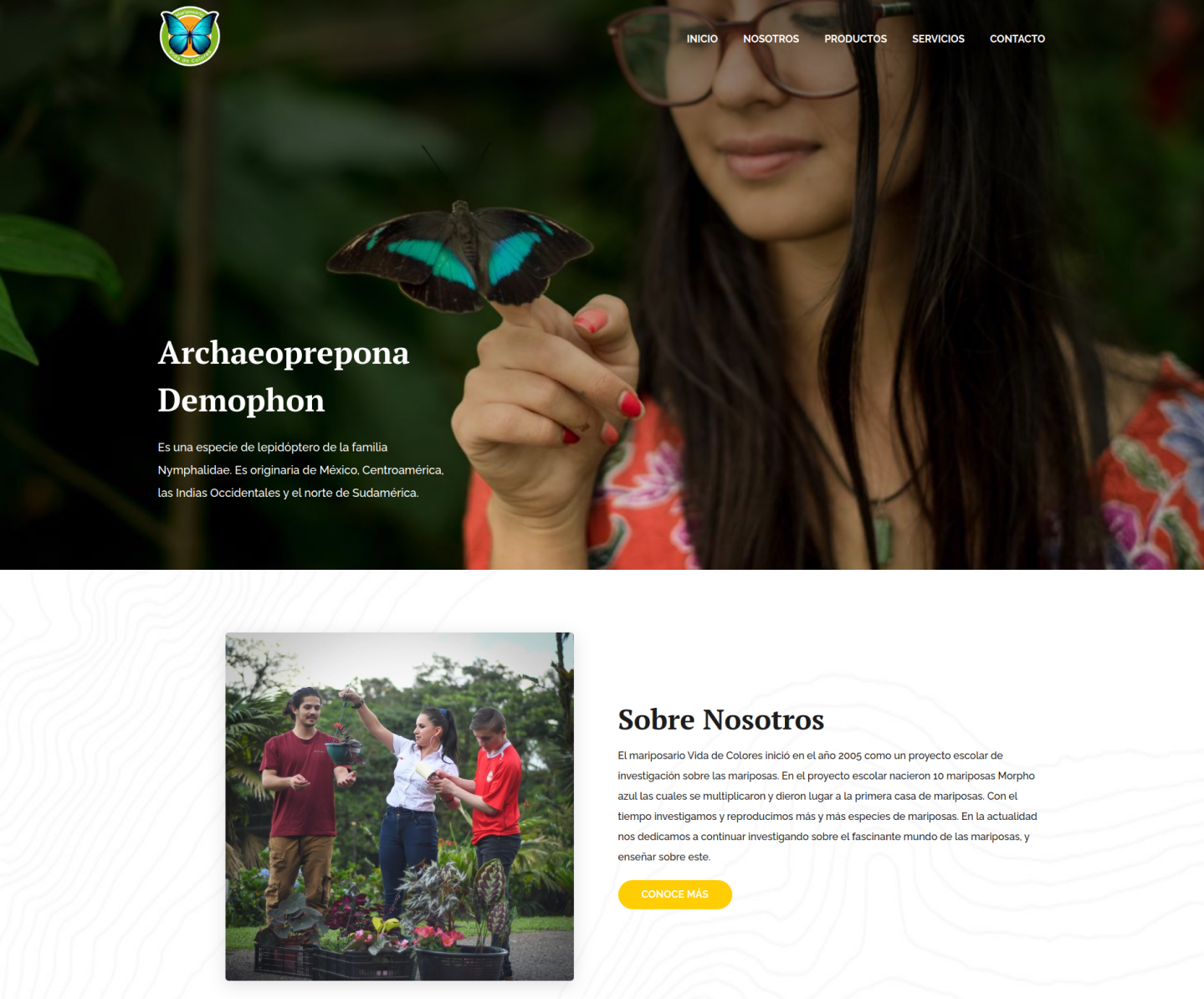GitHub - KevinJSS/ButterfliesCR: Fully Responsive Frontend Prototype Webpage for a real ...
