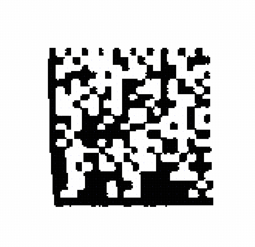 Failed to decode slightly deformed DataMatrix symbol · Issue #252 · zxing-cpp/zxing-cpp · GitHub