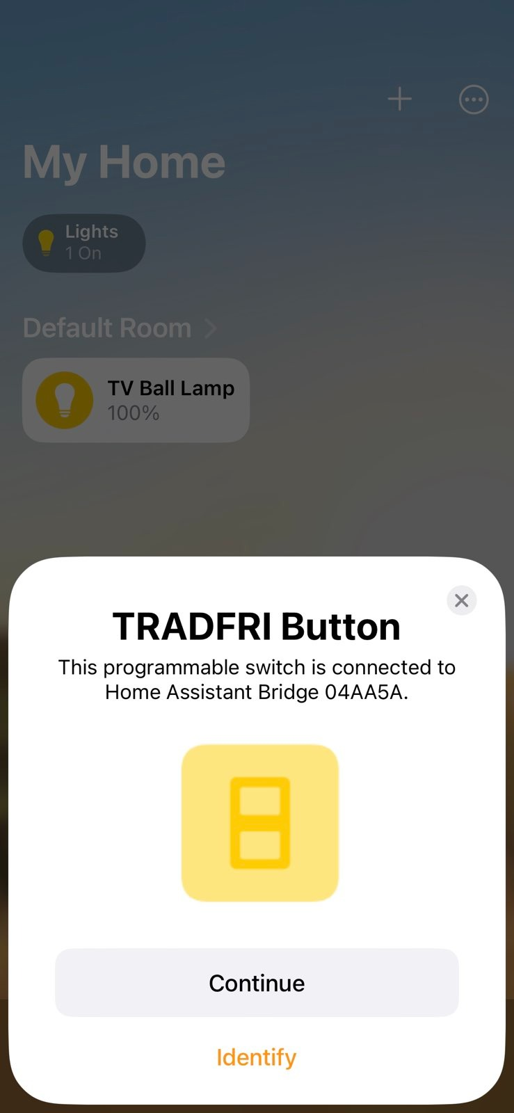 Devices exposed with HomeKit Bridge turn invisible in Apple Home after ...