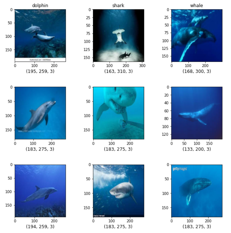 GitHub - amthreeh/ComputerVision_Seminar: DNA 겨울방학 STUDY