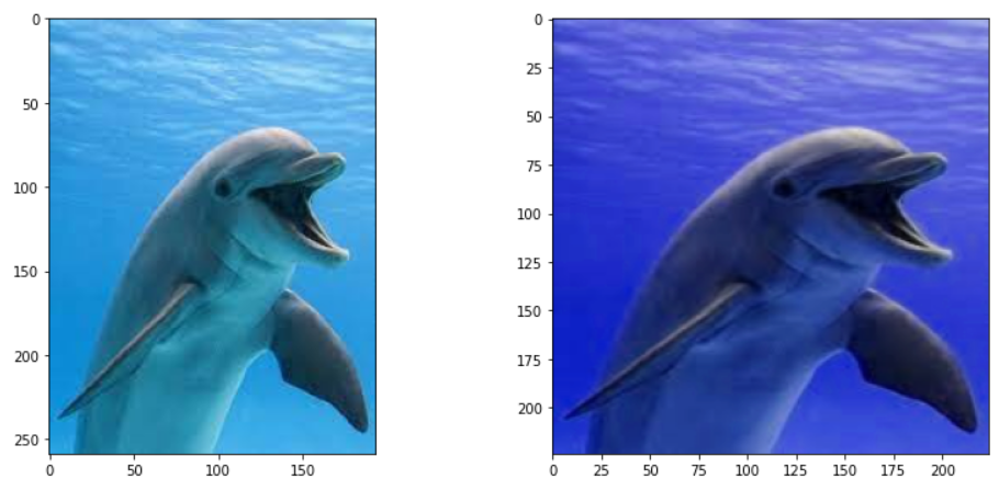 GitHub - amthreeh/ComputerVision_Seminar: DNA 겨울방학 STUDY