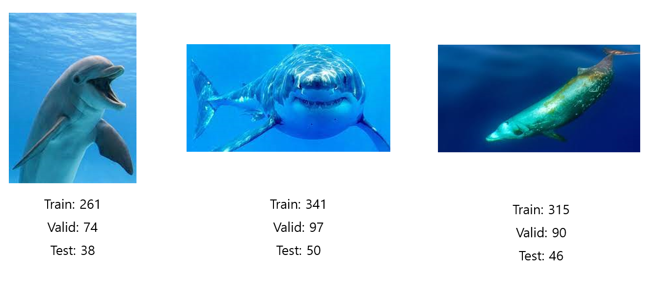 GitHub - amthreeh/ComputerVision_Seminar: DNA 겨울방학 STUDY