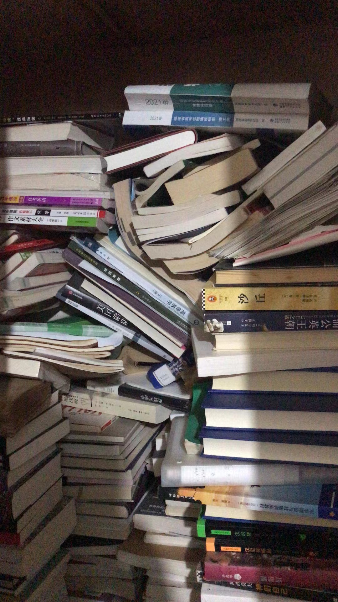 enterprisevsijn (Chen Haonan) · GitHub