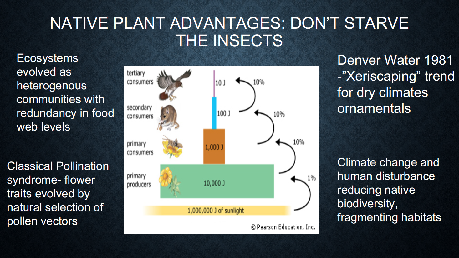 GitHub - ConnorOBS/-DBG-Nativar-Project: Summer 2019 Internship at Denver Botanic Gardens at ...