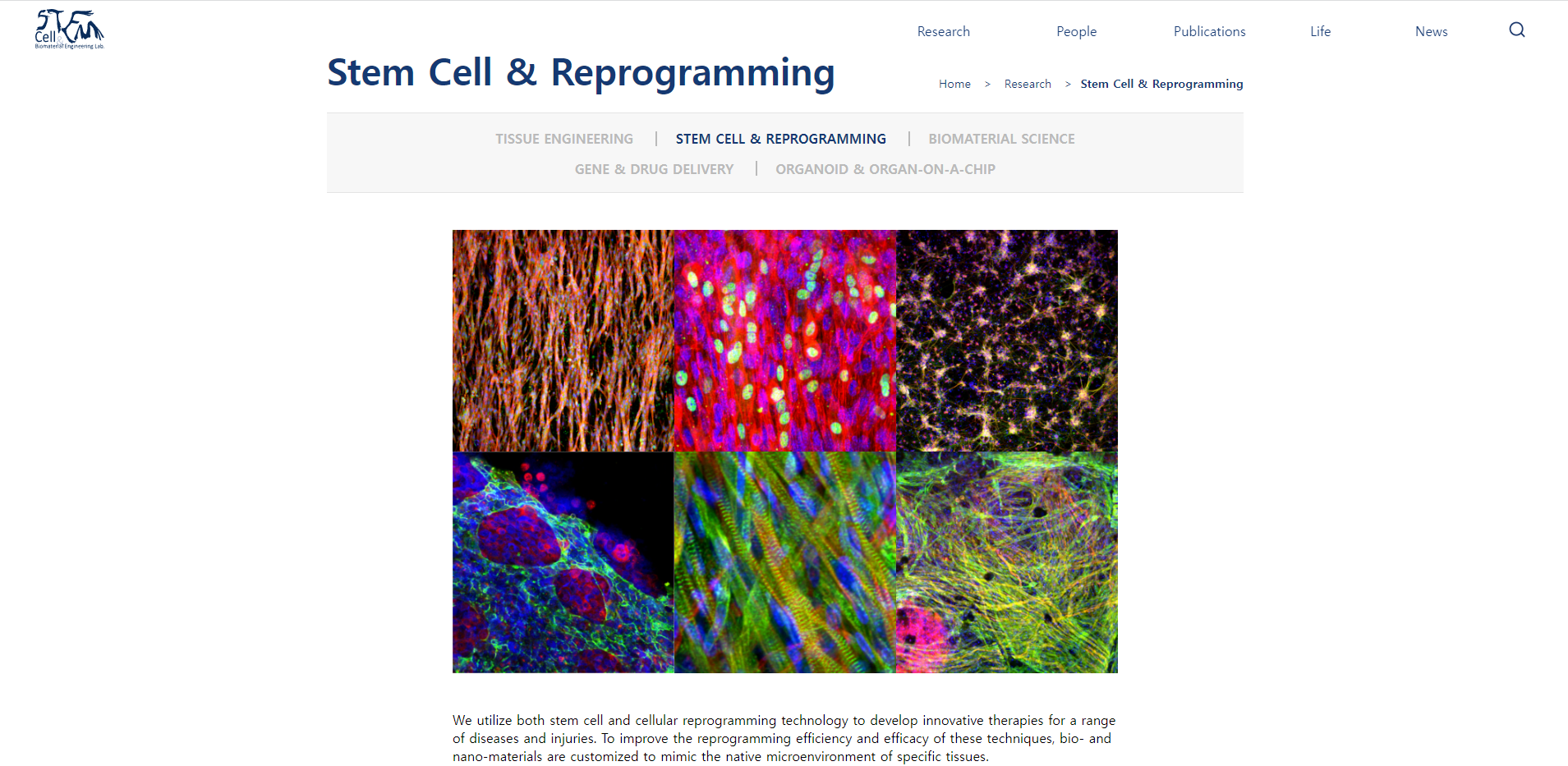 GitHub - BaekKiYeol/Yonsei-Lab-Hompage: 연세대학교 줄기세포 및 생체재료 공학 연구실 홈페이지 리뉴얼