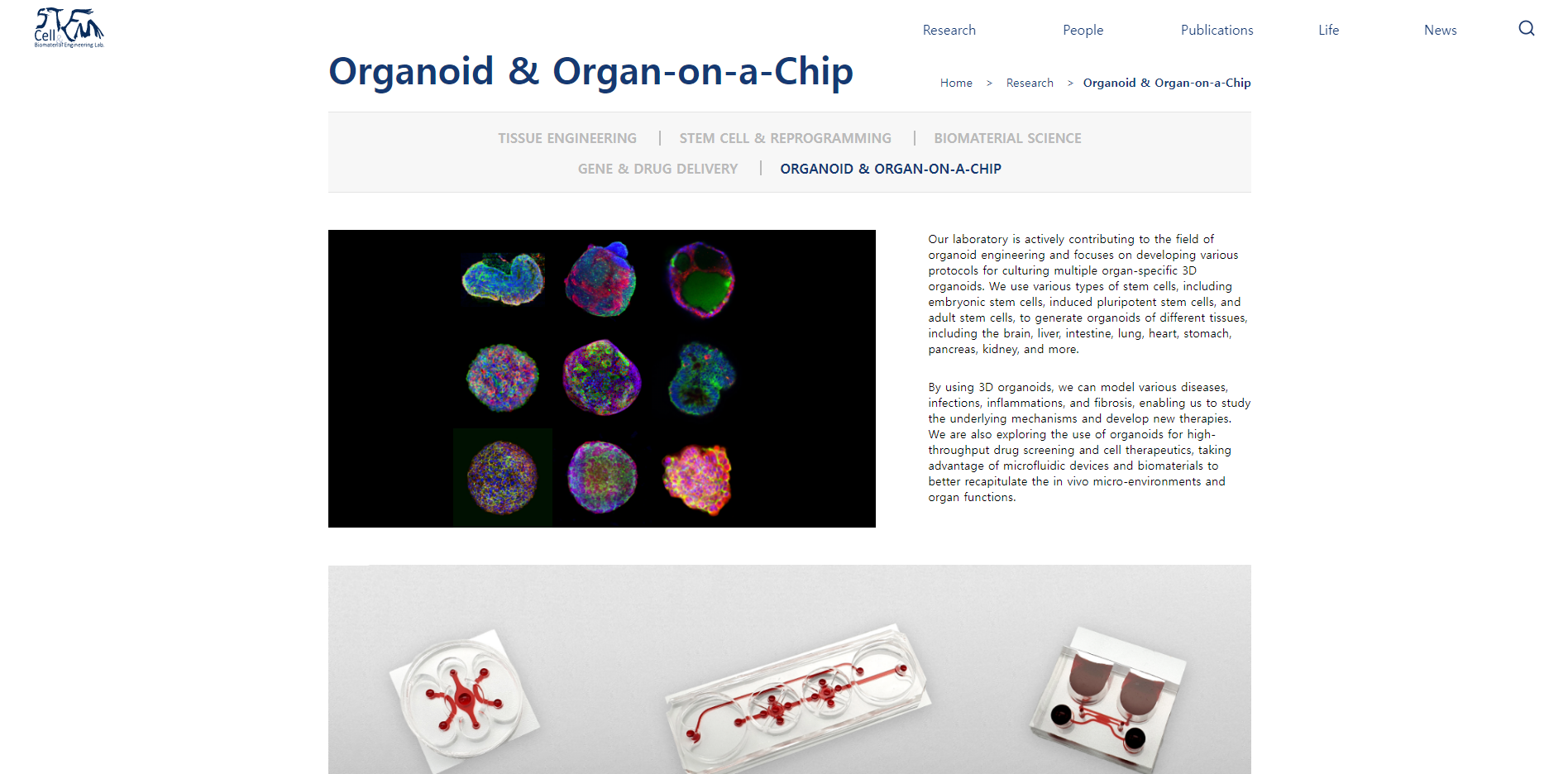 GitHub - BaekKiYeol/Yonsei-Lab-Hompage: 연세대학교 줄기세포 및 생체재료 공학 연구실 홈페이지 리뉴얼