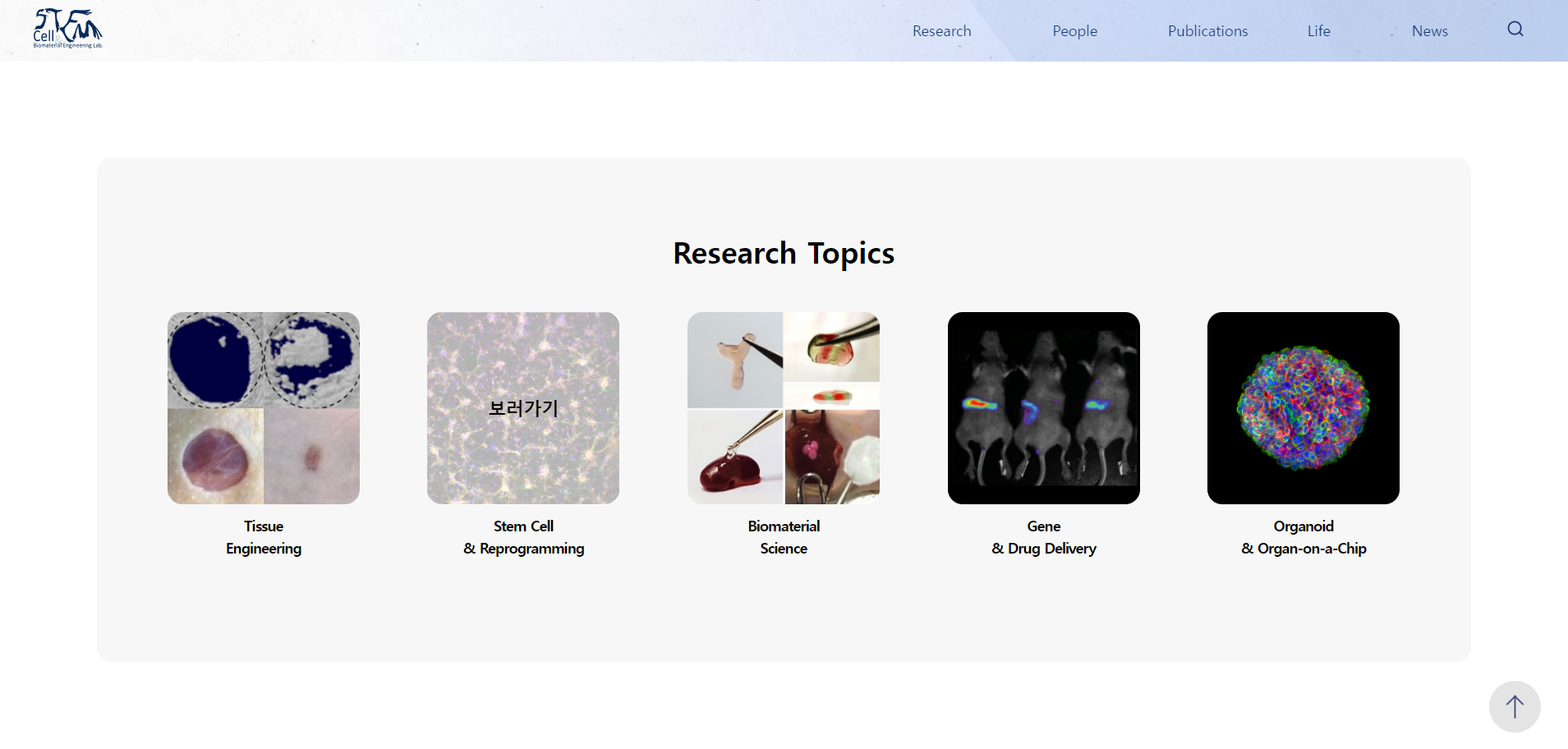 GitHub - BaekKiYeol/Yonsei-Lab-Hompage: 연세대학교 줄기세포 및 생체재료 공학 연구실 홈페이지 리뉴얼
