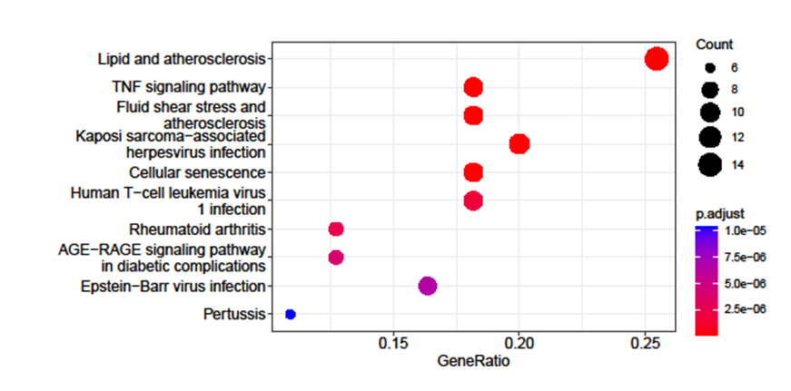 R-based-machine-learning-projects/PD-related endoplasmic reticulum stress core gene screening ...