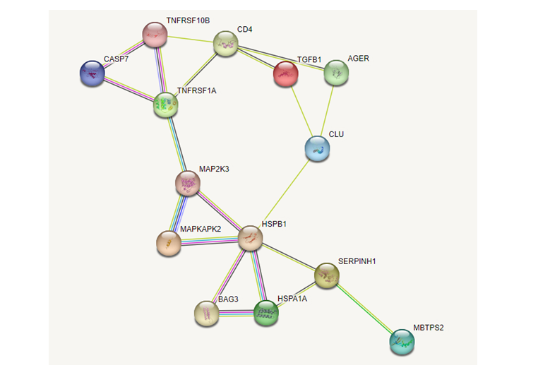 R-based-machine-learning-projects/PD-related endoplasmic reticulum stress core gene screening ...