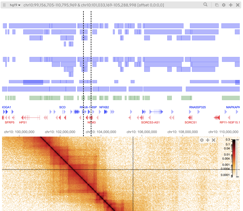 Vertical lines get lost if the heatmap is replaced · Issue #947 · higlass/higlass · GitHub