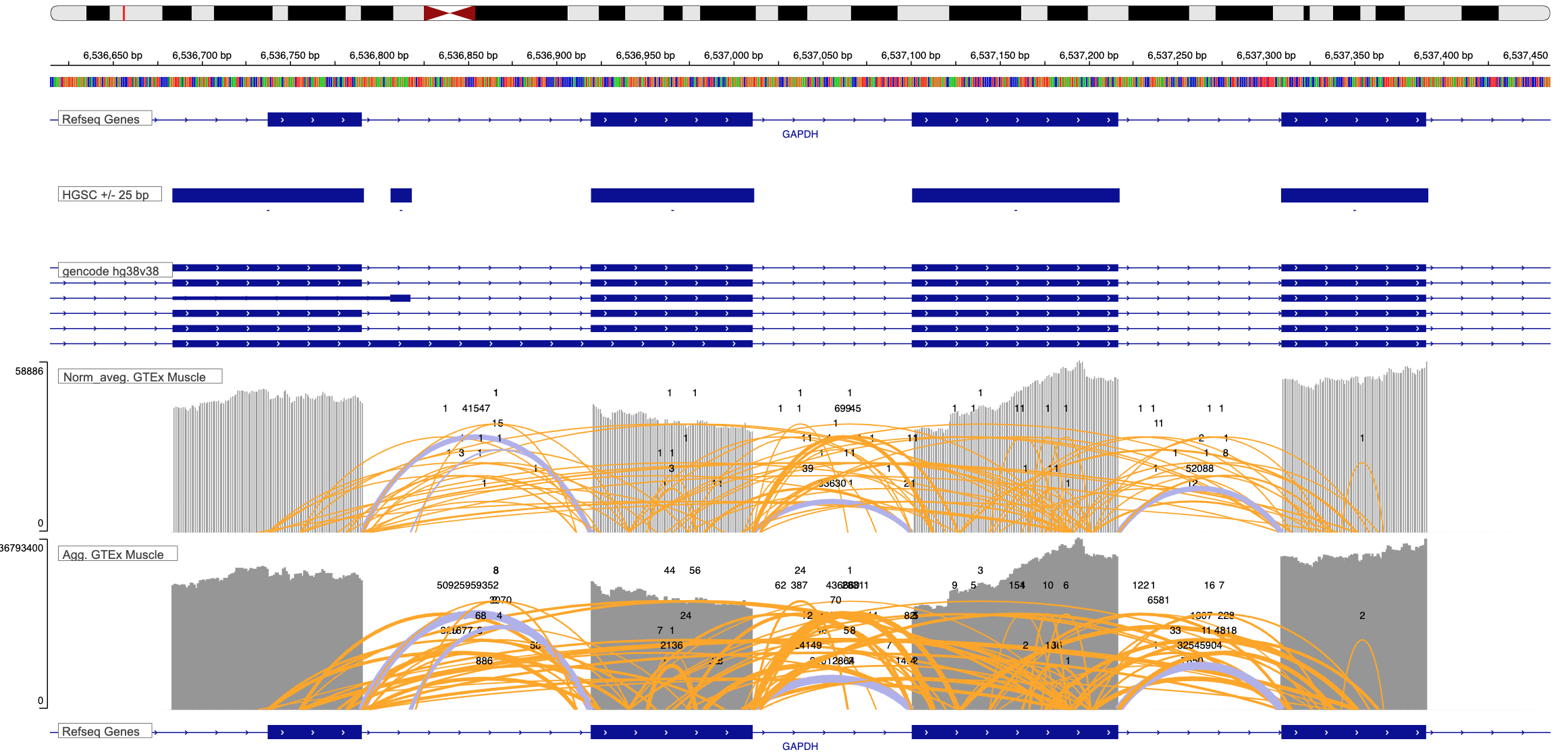 Gaps in RNA-Seq coverage tracks · Issue #1627 · igvteam/igv.js · GitHub