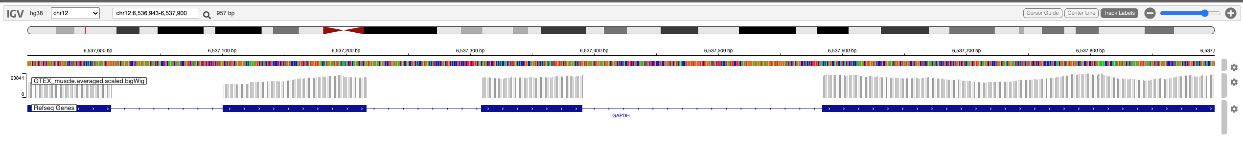 Gaps in RNA-Seq coverage tracks · Issue #1627 · igvteam/igv.js · GitHub