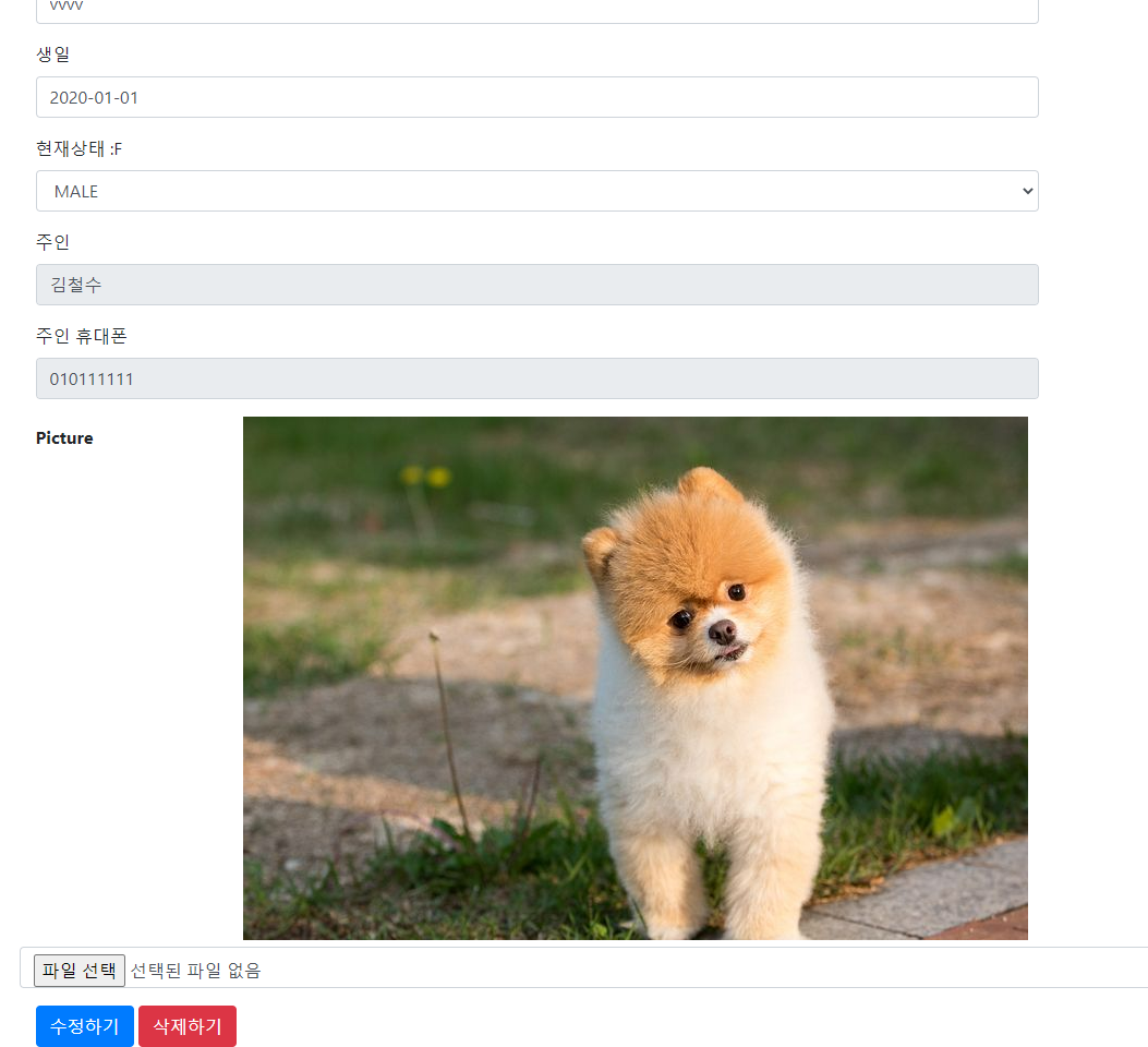 GitHub - HeeJeong0718/PetHospital: Spring Boot,JWT,JPA를 활용한 동물병원진료관리 프로젝트입니다