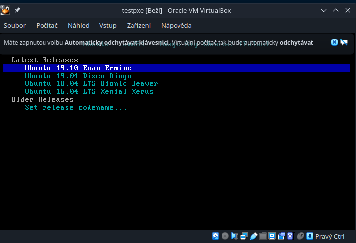 Unable to install Ubuntu newer than 19.10 · Issue #1199 · netbootxyz/netboot.xyz · GitHub
