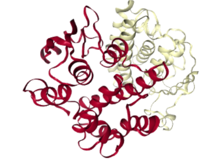 GitHub - Gilgamesh60/Binding_affinity_predictor: This is a project for predicting the protein ...