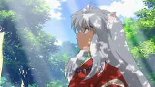 穿越时空的思念 · Issue #838 · zytx121/je · GitHub