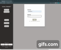 GitHub - janicera2880/crime-sleuths: Phase 4 Flatiron Project