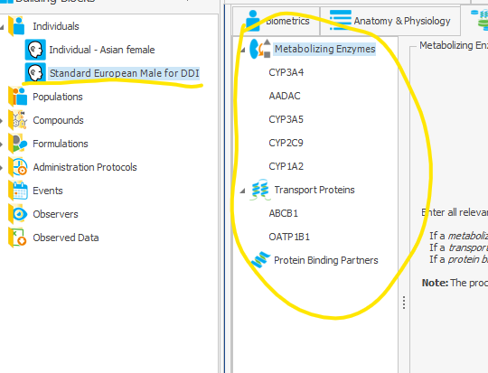 Discrepancy between PK-Sim and R in applying individual to simulation ...