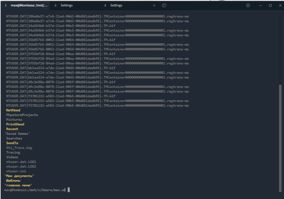 Cannot change theme · Issue #8047 · Eugeny/tabby · GitHub