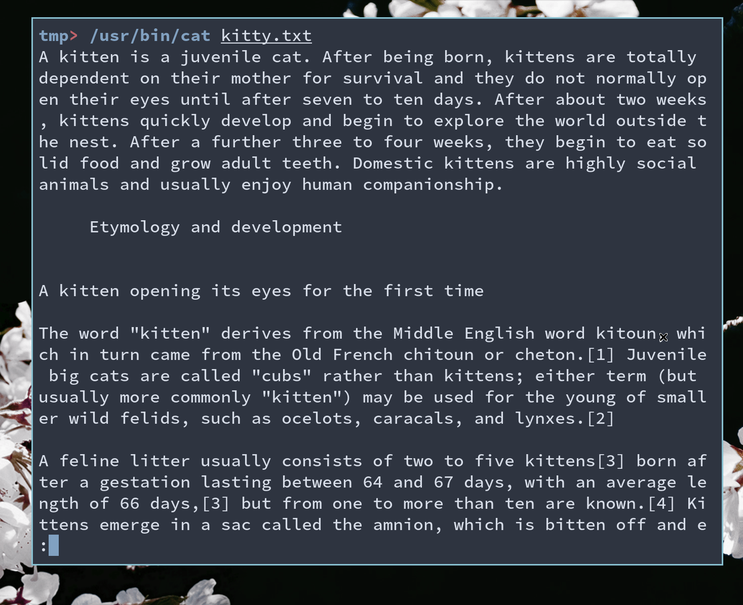 Selection doesn't extend to left-most character · Issue #2431 · kovidgoyal/kitty · GitHub