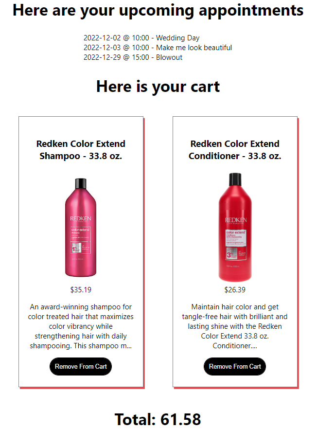 GitHub - critwitt/salon-app