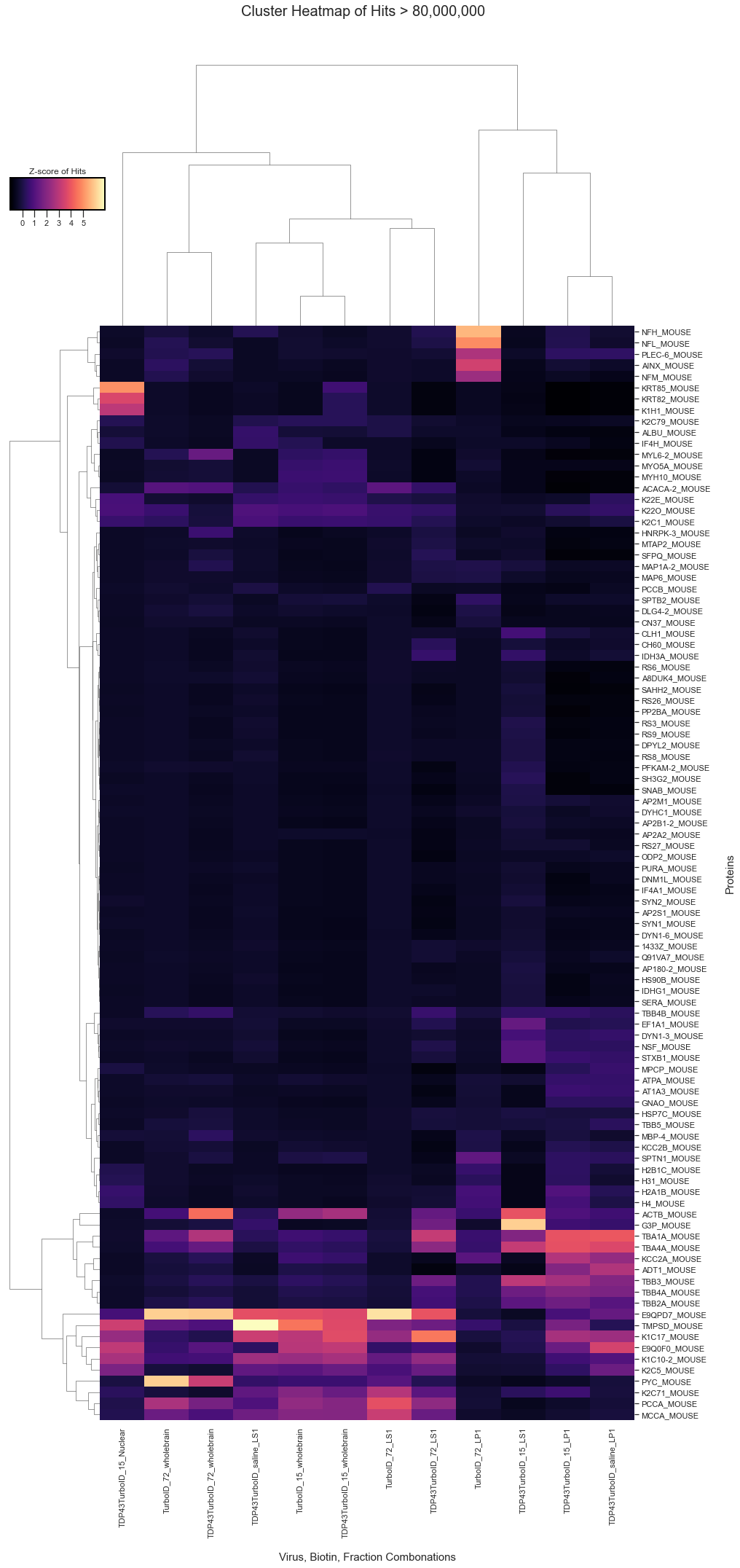 GitHub - adamwbrew/Proteins