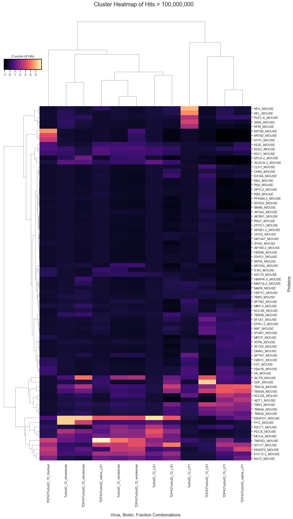GitHub - adamwbrew/Proteins