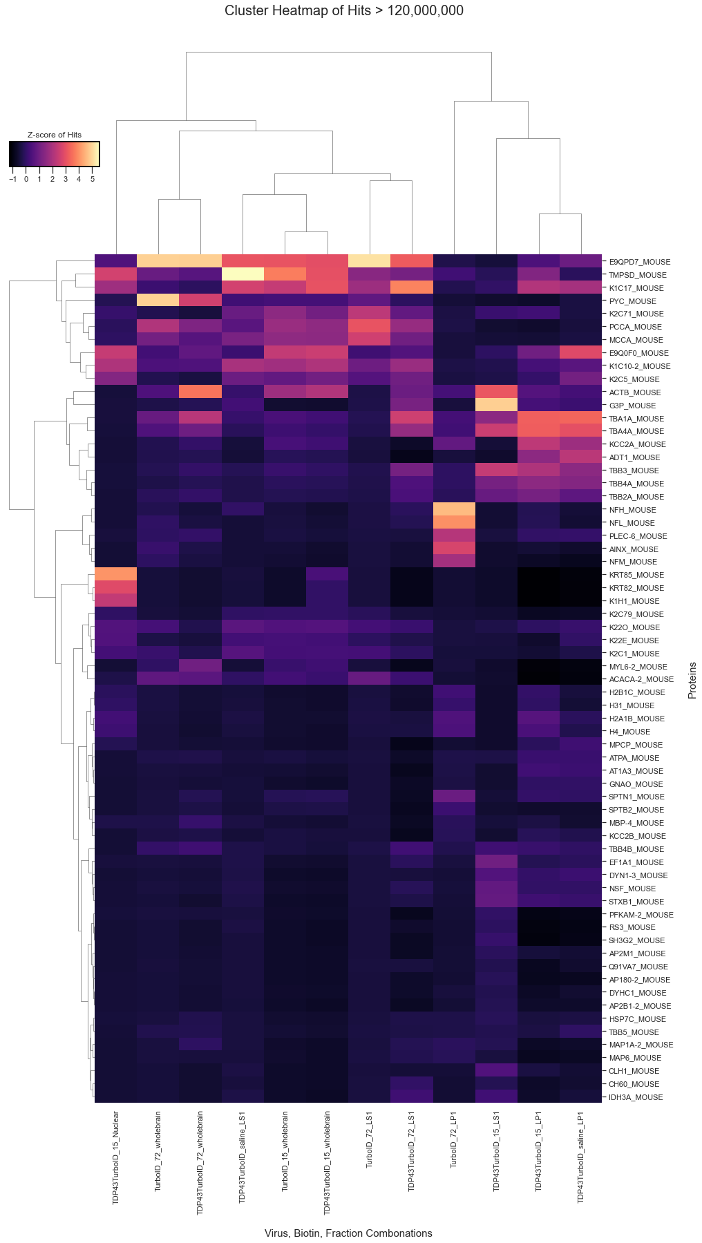 GitHub - adamwbrew/Proteins