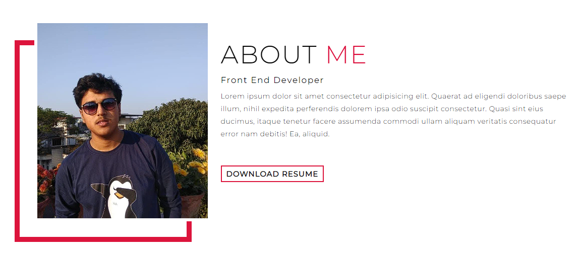 GitHub - SohamRoy-01/Sample-Portfolio