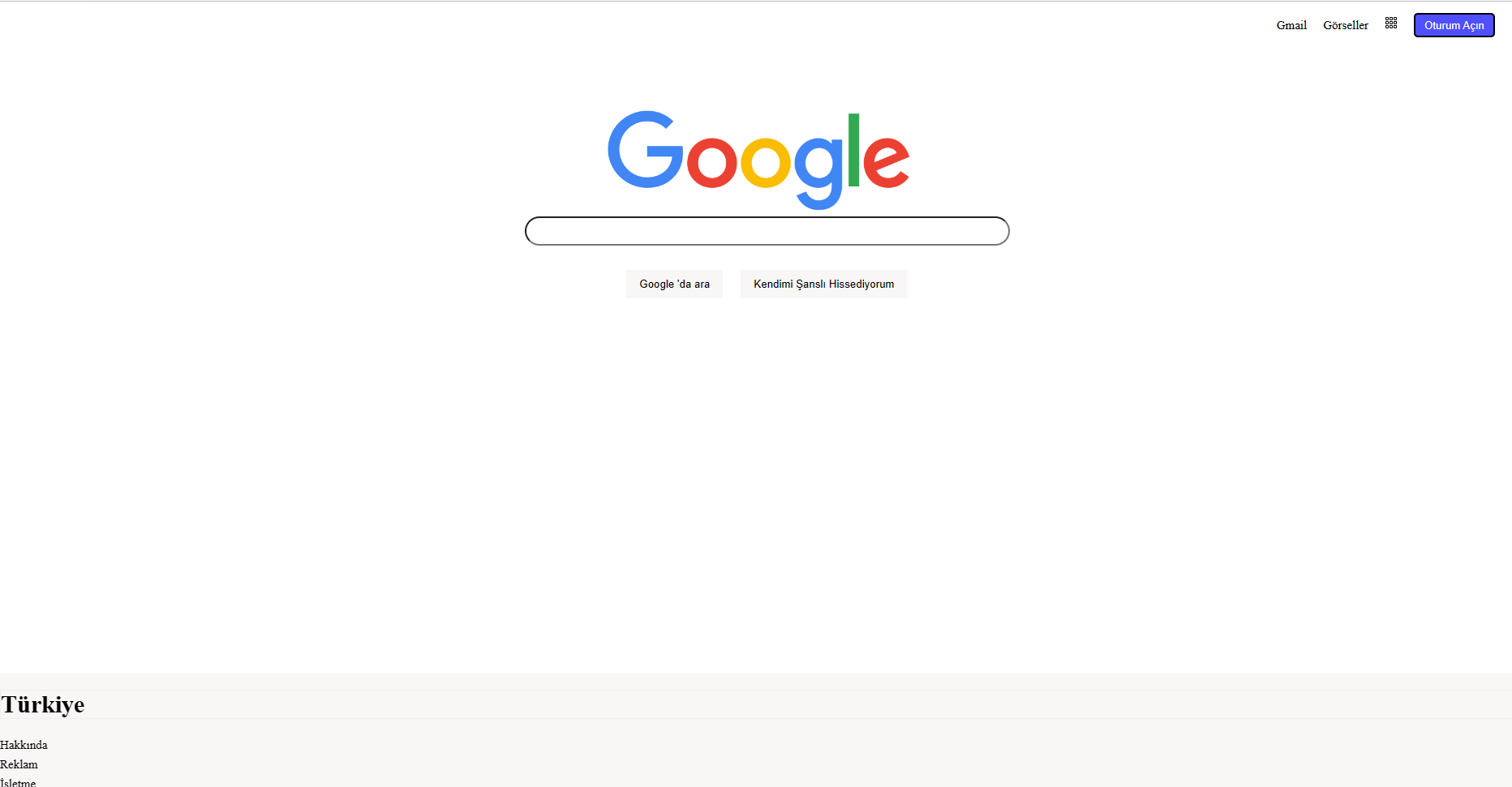 GitHub - ezgi02/google-ana-sayfas-n-