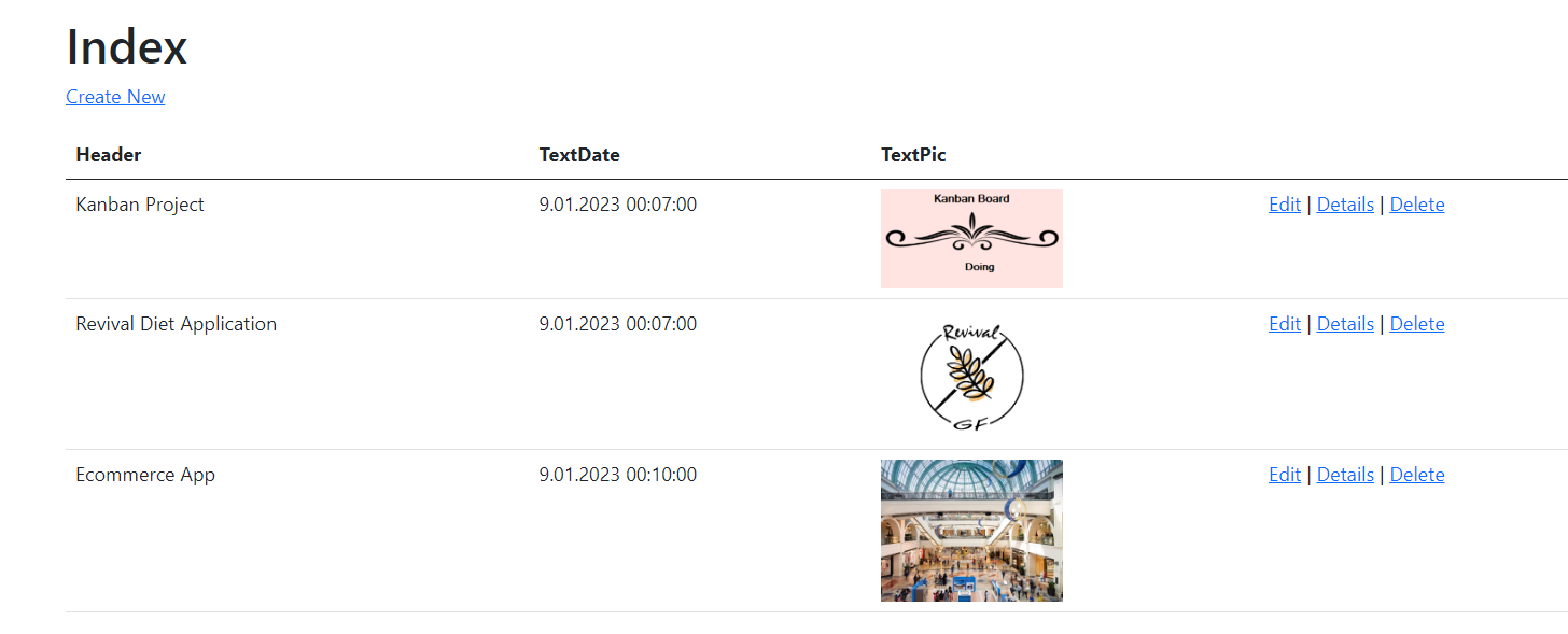 GitHub - aysenuraltinsoy/blogProject: C# ASP.NET V7