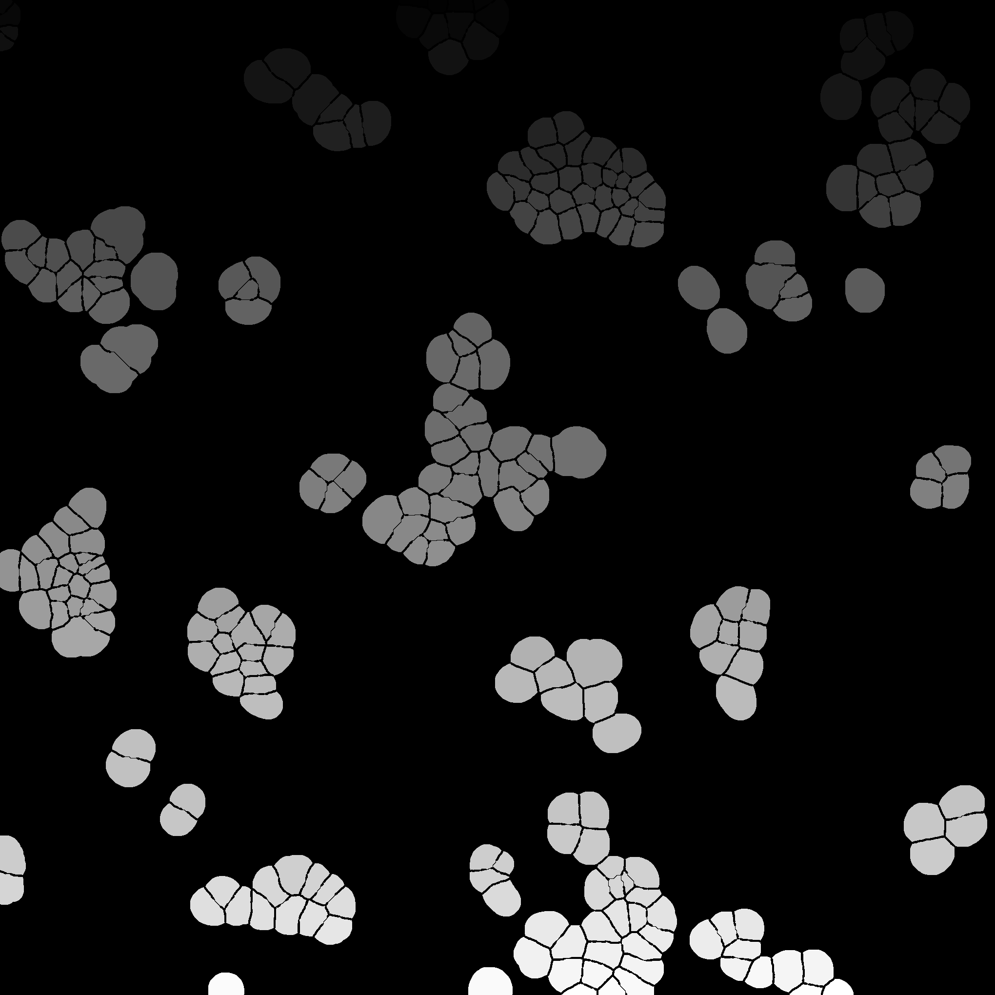 ImageMagick is incorrectly reading a tiff image as black and white when it should be gray scale ...