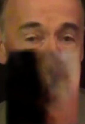 嘴巴有个黑框！😂 · Issue #30 · MRzzm/DINet · GitHub