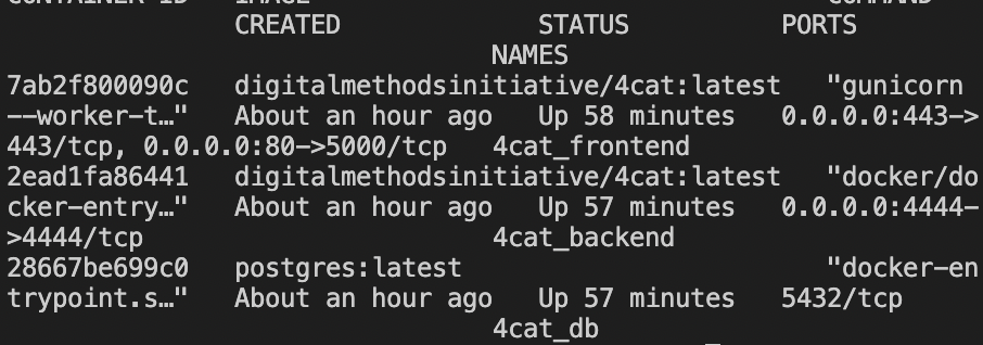 'localhost' didn't send any data/ only brings up docker 'getting started' page · Issue #259 ...