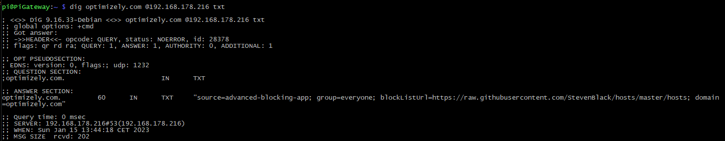 Technitium DNS Server does not support wildcard · Issue #205 · hagezi/dns-blocklists · GitHub