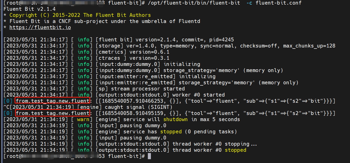 Variable Value Of Tag Not Recognized When Using Elasticsearch Output · Issue 7505 · Fluent