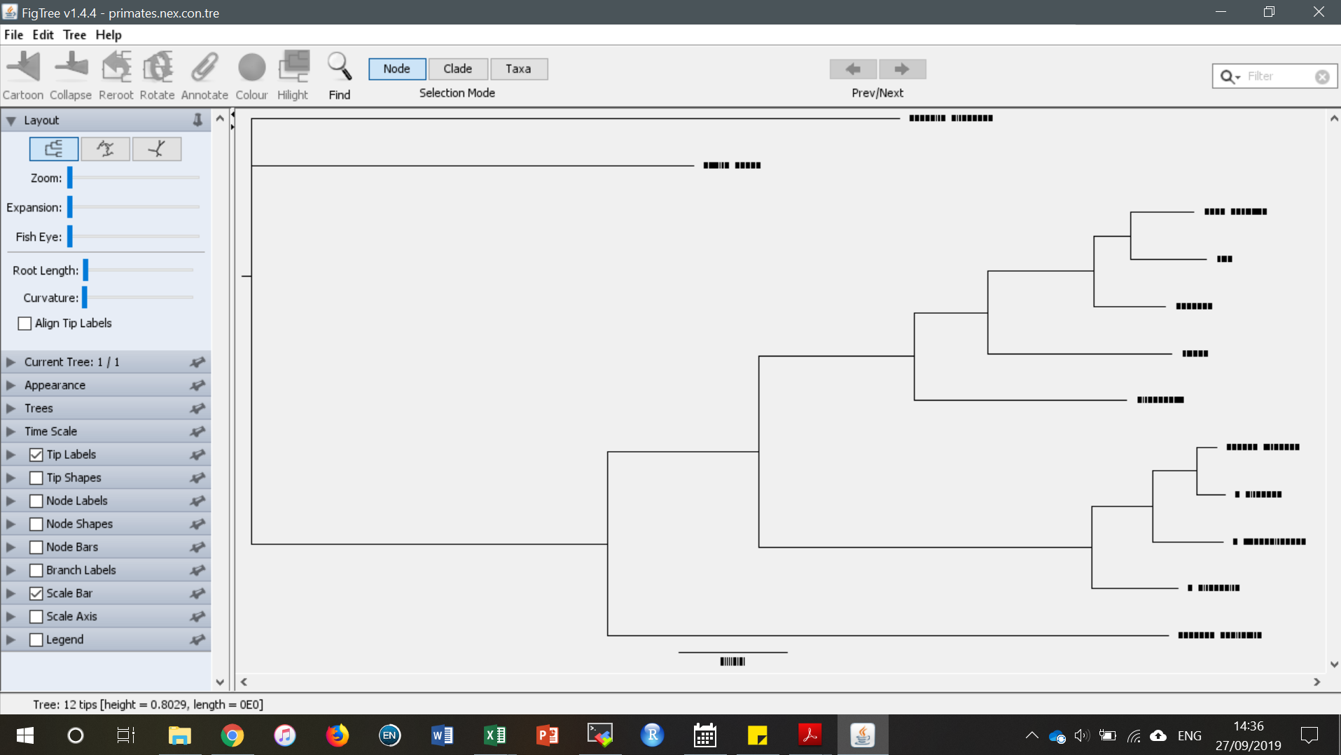Text In Trees Displayed As Blocks · Issue 144 · Rambautfigtree · Github