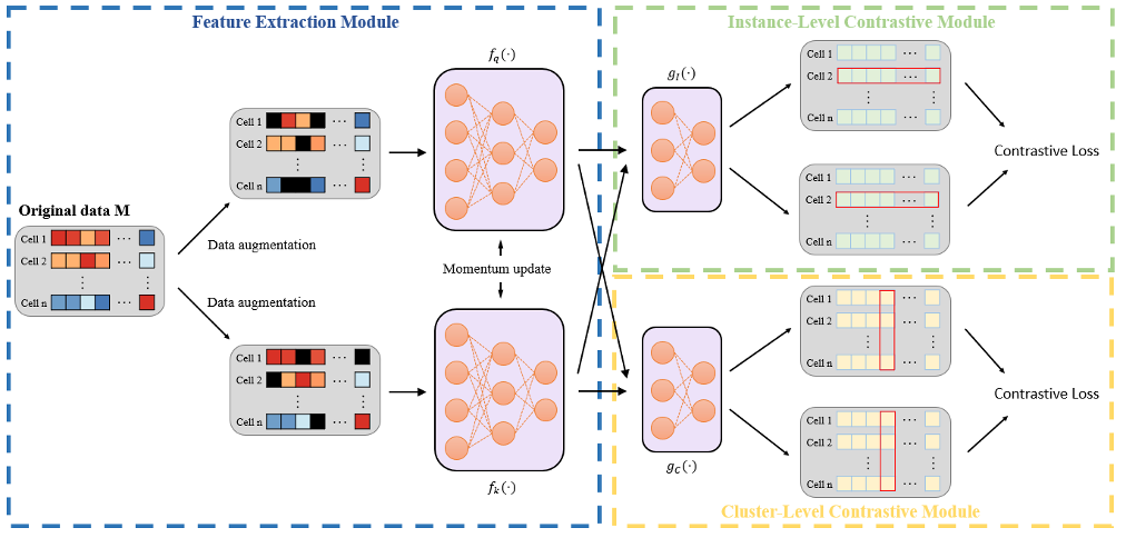 GitHub - LuckyxiaoLin/ScCCL