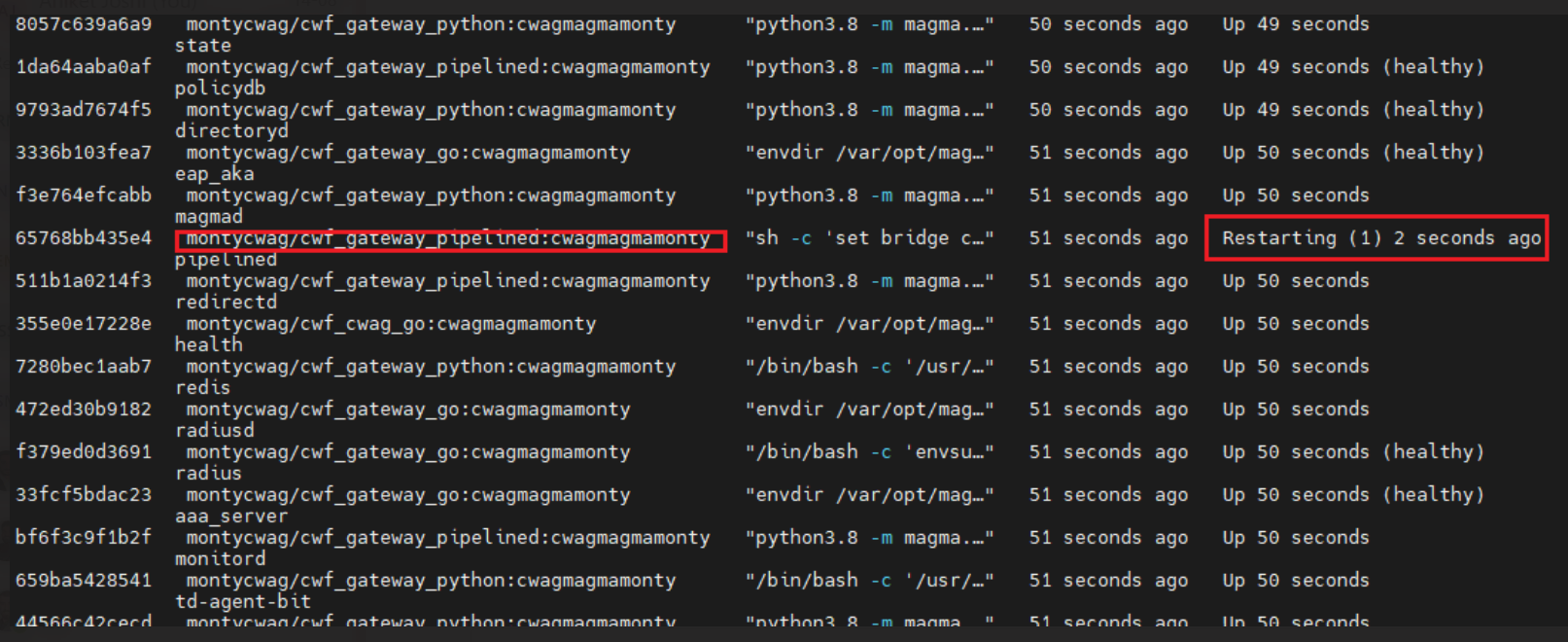 Pipelined Container taking restart while deploy CWAG · magma magma · Discussion #15287 · GitHub
