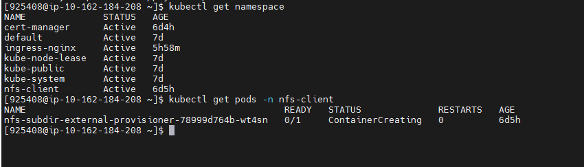 Mountvolume Setup Failed For Volume Pv Nfs Subdir External Provisioner Mount Failed Exit