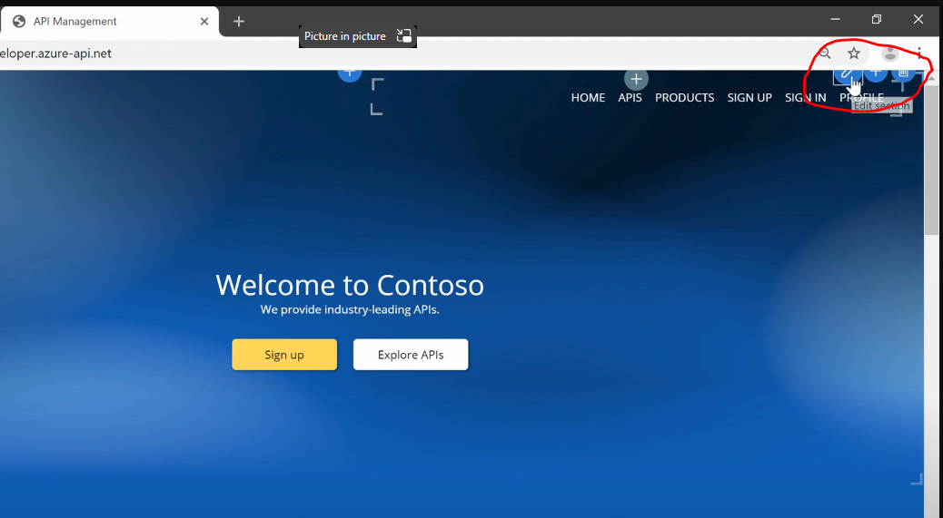 Home Page Background Section Unselectable Ui Widgets Missing · Issue 2234 · Azure Api
