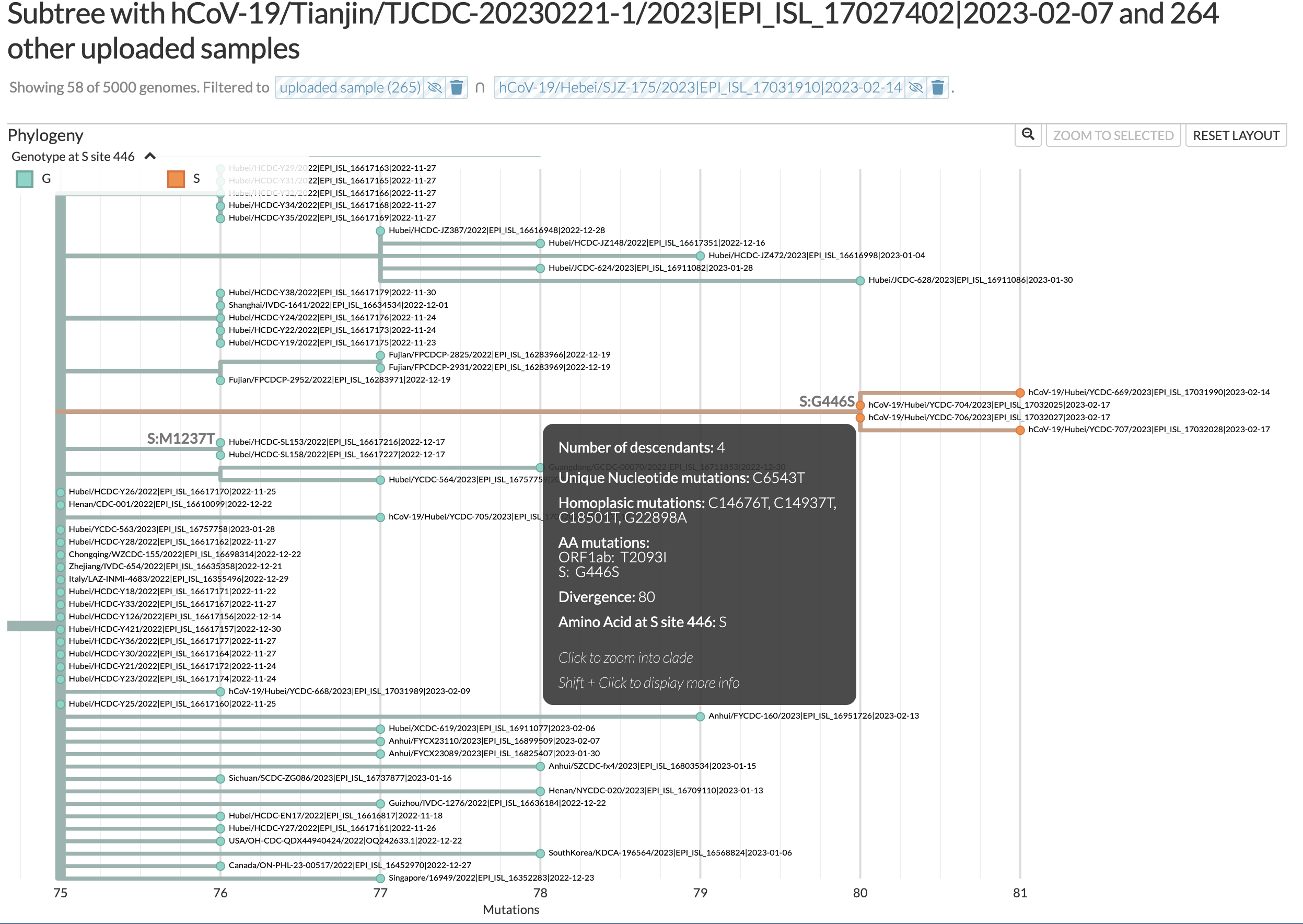 Newly emerged DY.2 with S:G446S in Hubei (6 seqs) · Issue #1701 · cov ...
